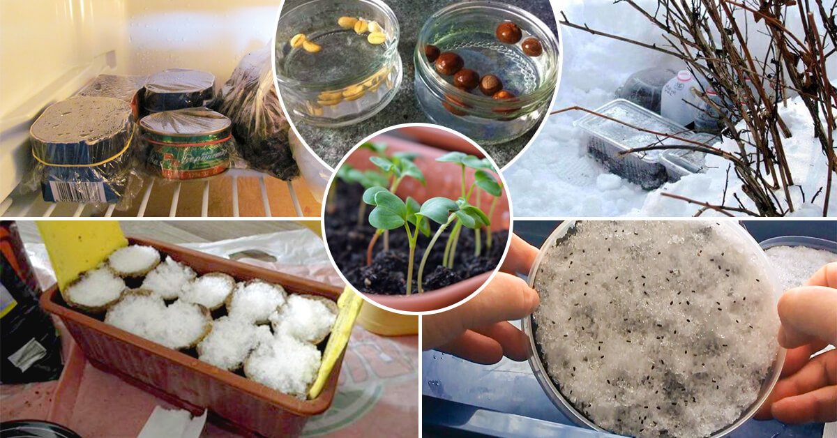 Ideal stratification: 4 methods with step-by-step instructions. • 💙💛 ...